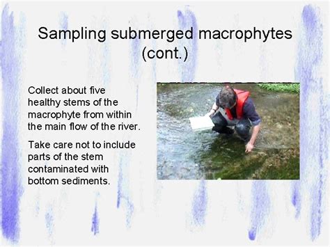 Sampling Diatoms From Running Waters 3 Sampling Macrophytes