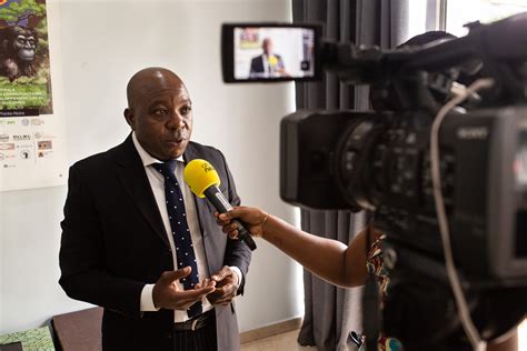 Nos Actions Pour La Protection Des Grands Singes Se Poursuivent