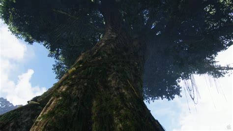 Avatar Tree Wallpapers Top Free Avatar Tree Backgrounds Wallpaperaccess