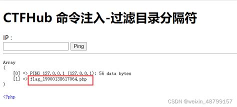 Ctfhub技能树笔记之rce：过滤目录分隔符、过滤运算符、综合过滤练习ctf技能树命令执行运算符过滤 Csdn博客