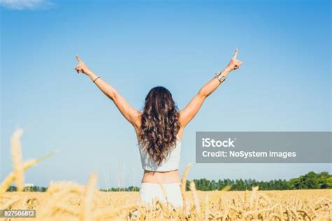 밀 필드에 야외 재미 검은 긴 머리를 가진 젊은 행복 한 여자 자유 개념입니다 검정 머리에 대한 스톡 사진 및 기타 이미지 검정 머리 계절 곡초류 Istock