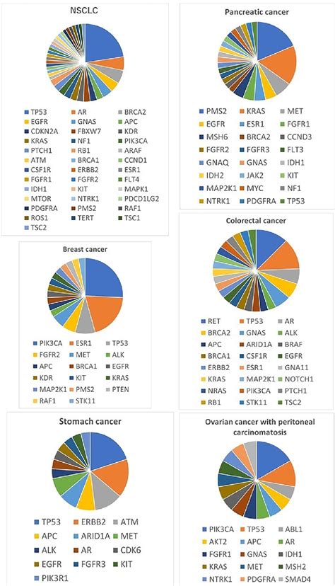 Genes That Were Responsible For Nonsynonymous Mutation Download Scientific Diagram