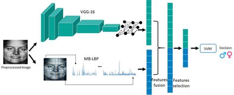 Feature Level Fusion Proposed Method Download Scientific Diagram