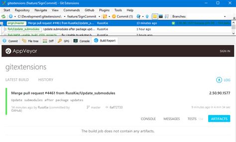 Appveyor Doesn T Provide Build Artifact Issue 4462 Gitextensions