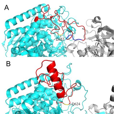 Analysis Of The Shape And Size Of The Entrance Of The Substrate Binding Download Scientific