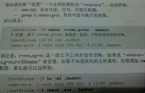 Linux下创建用户分组及设置分组权限linux怎样把文件分配到组中 Csdn博客