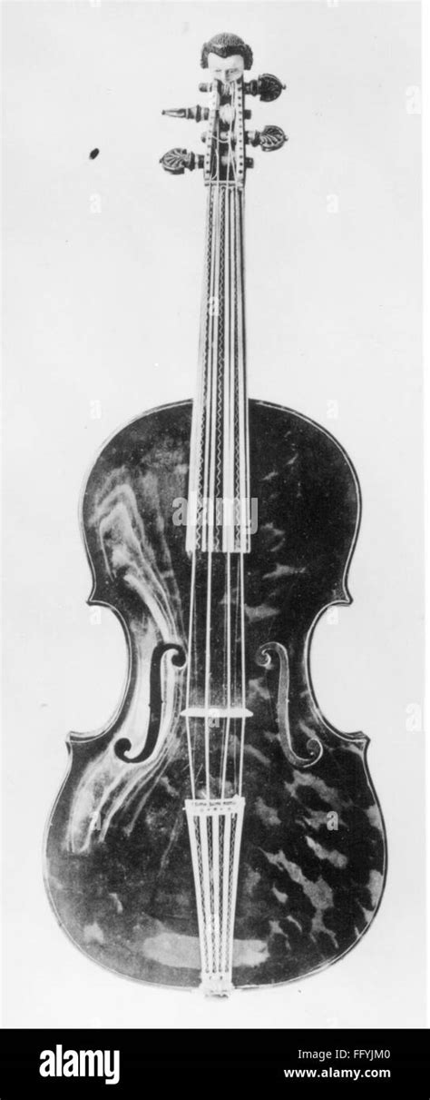Music Instruments Bowed Instruments Violin About Th Century Stringed Instrument Stringed