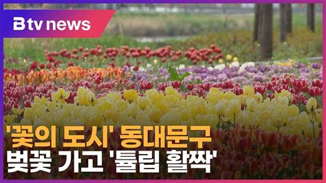 꽃의 도시 동대문구벚꽃 가고 튤립 활짝sk Broadband 서울뉴스 Youtube