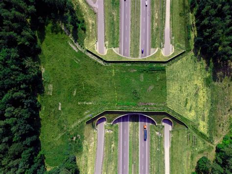 Habitat Fragmentation Causes Effects And Solutions Jouav