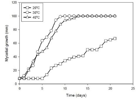 Effect Of Temperature On Mycelia Growth Of P Chrysosporium During