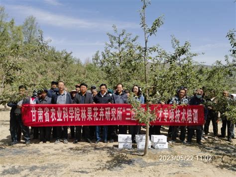 林果花卉研究所科技人员赴庄浪县盘安镇开展 三区”科技服务 甘肃省农业科学院 林果花卉研究所