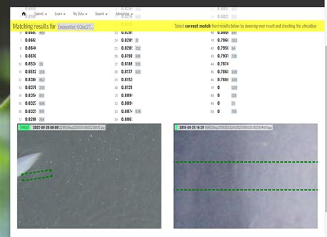 Annotation Issue Support Wild Me Community Forums