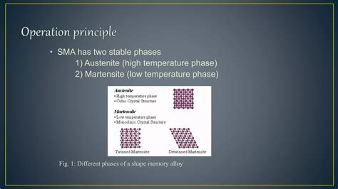 Shape Memory Alloys PPT