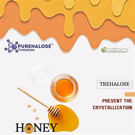 Trehalose In Mumbai Packaging Type Box At ₹ 250kg In Ghaziabad Id