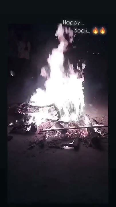 Happy Bogii🔥🔥🔥🔥🔥 Youtube