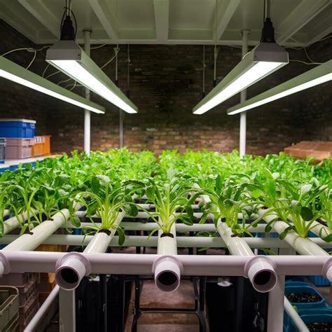 Hydroponic Containers Images Free Download On Freepik