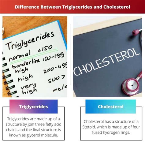 Triglyceride Vs Cholesterol Sự Khác Biệt Và So Sánh
