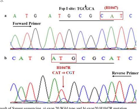 Figure 3 From Evaluation Of Pik3ca Gene Mutations In Breast Cancer