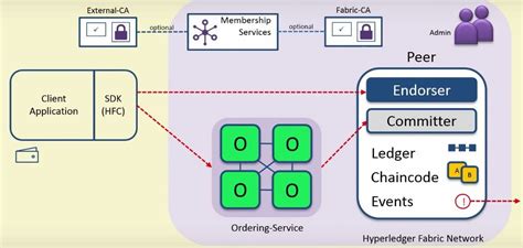 Consensus Hijacking In Hyperledger Fabric What It Is And How To