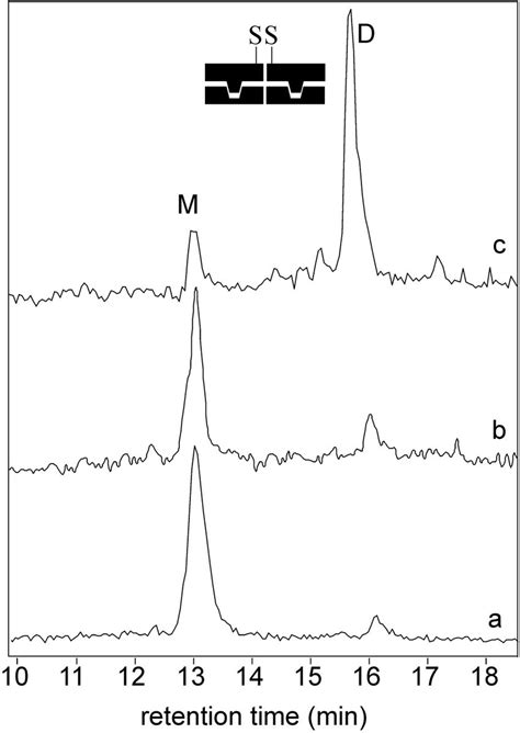 Disulfide Cross Linking Experiment With 75 Nm R 69cys In The Presence Download Scientific