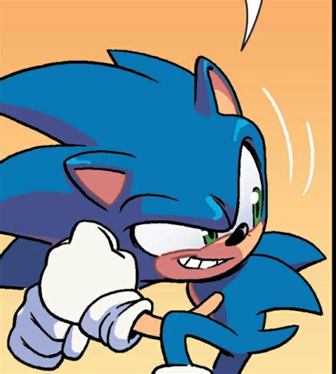 Pin By Payton On Sonic Sonic The Hedgehog Sonic Franchise Sonic