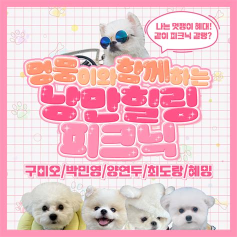 케크루 멍뭉이와 함께하는 피크닉 방송구미오x박민영x최도랑x혜밍 숲soop 에펨코리아