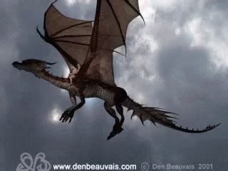 Dragon  Dragon Discover And Share S