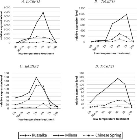 Quantitative Rt Pcr Expression Analysis Of Tacbf Genes In Highly