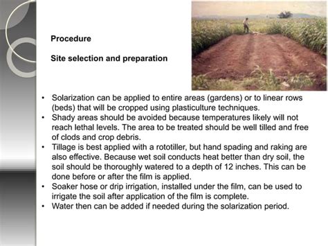 Soil Sterilizationsoil Solarization Pptx Gardening Home And Garden