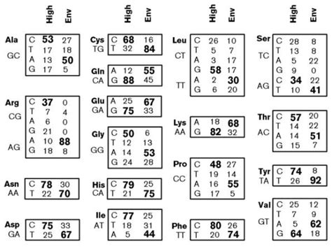 e coli codon usage chart