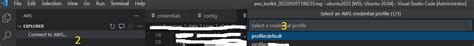 Wsl Cannot Connect Login Failed Socket Is Closed Issue Aws Aws Toolkit Vscode