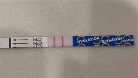 Ovulation Test R Lineporn