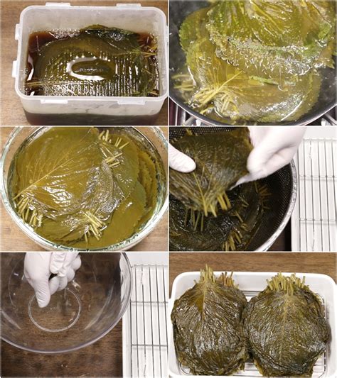 밥도둑 삭힌깻잎김치 장아찌 만드는법 깻잎삭히는법 김진옥요리가좋다