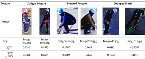 Manually Labeled Image Samples Download Scientific Diagram