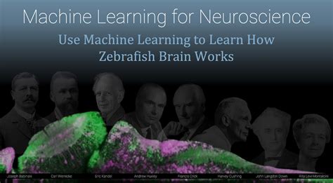 Machine Learning For Neuroscience Spatio Temporal Analysis Of