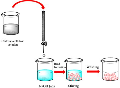 A Schematic Diagram Of Preparation Process Of The Chitosan Cellulose
