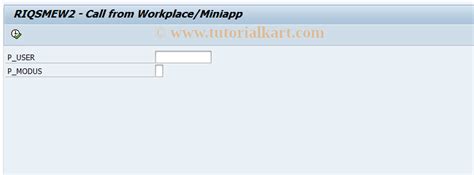 Iqs9wp Sap Tcode Iqs9 Call From Workplace Miniapp Transaction Code