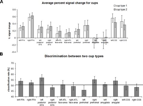Fusiform Face Area Diagram