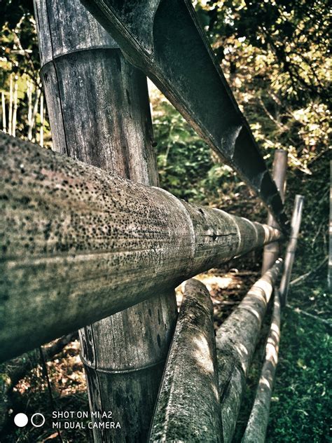 მობილური ფოტოგრაფია Ozurgeti