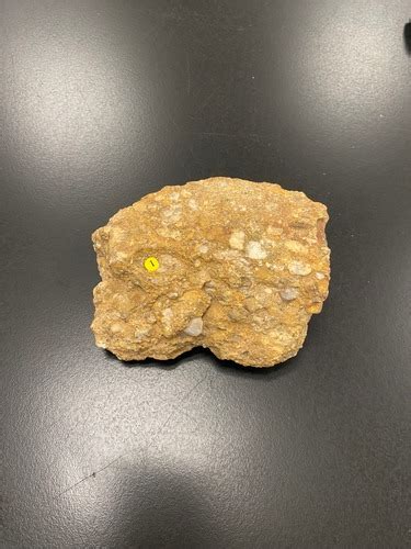 Sedimentary Rocks Flashcards Quizlet