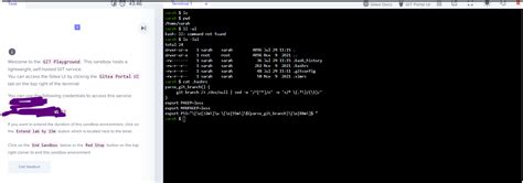 Fonts Getting Weird While Using Web Terminals · Issue 24333 · Bravebrave Browser · Github