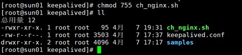 nginx（搭建高可用集群） nginx集群部署 csdn博客