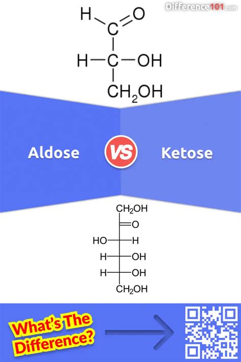 Aldose Vs Ketose 7 Key Differences Pros Cons Examples