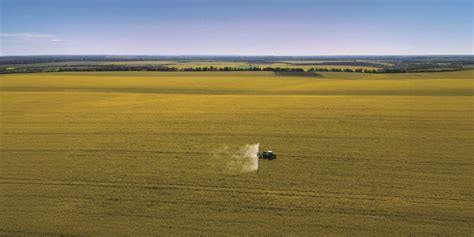 Соняшникова олія в Україні Як Kernel виконує умови екологічного виробництва Nv