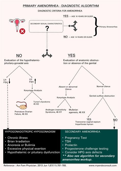 Primary Amenorrhea Algorithm