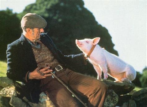 James Cromwell As Farmer Hoggett In Babe Ultimate Hottie Filmes