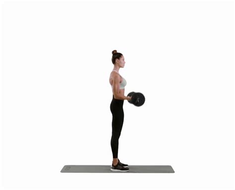 Negative Bicep Curl Sweat