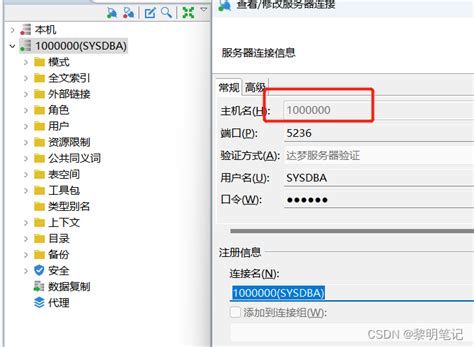 达梦服务名使用 达梦数据库服务名 csdn博客