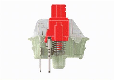 What Is The Difference Between Linear And Tactile Switches Das