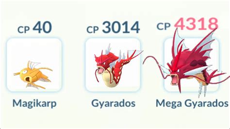 Shiny Mega Gyarados Evolution Line Only Challenge 😎 Pokemon Go Youtube